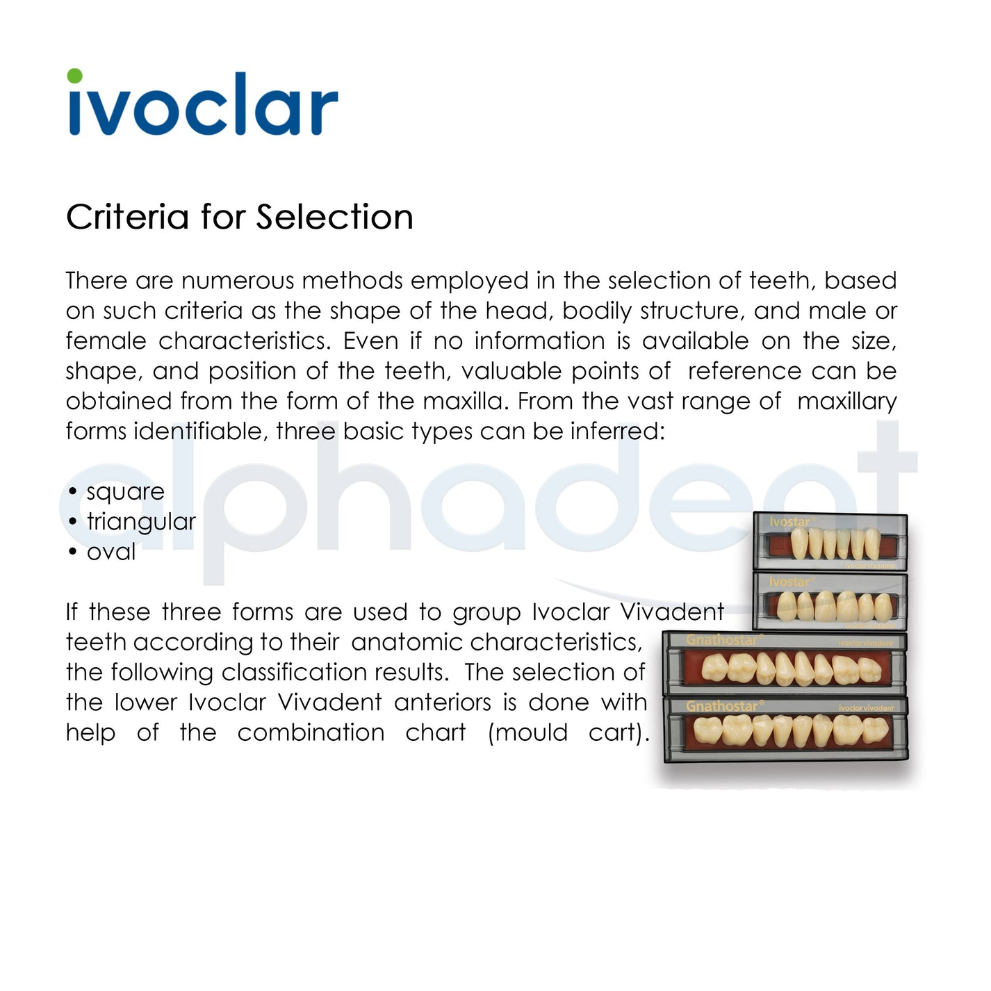 Ivostar® 1 X 6 Anterior Resin Teeth (110-140) – Alphadent Corporation