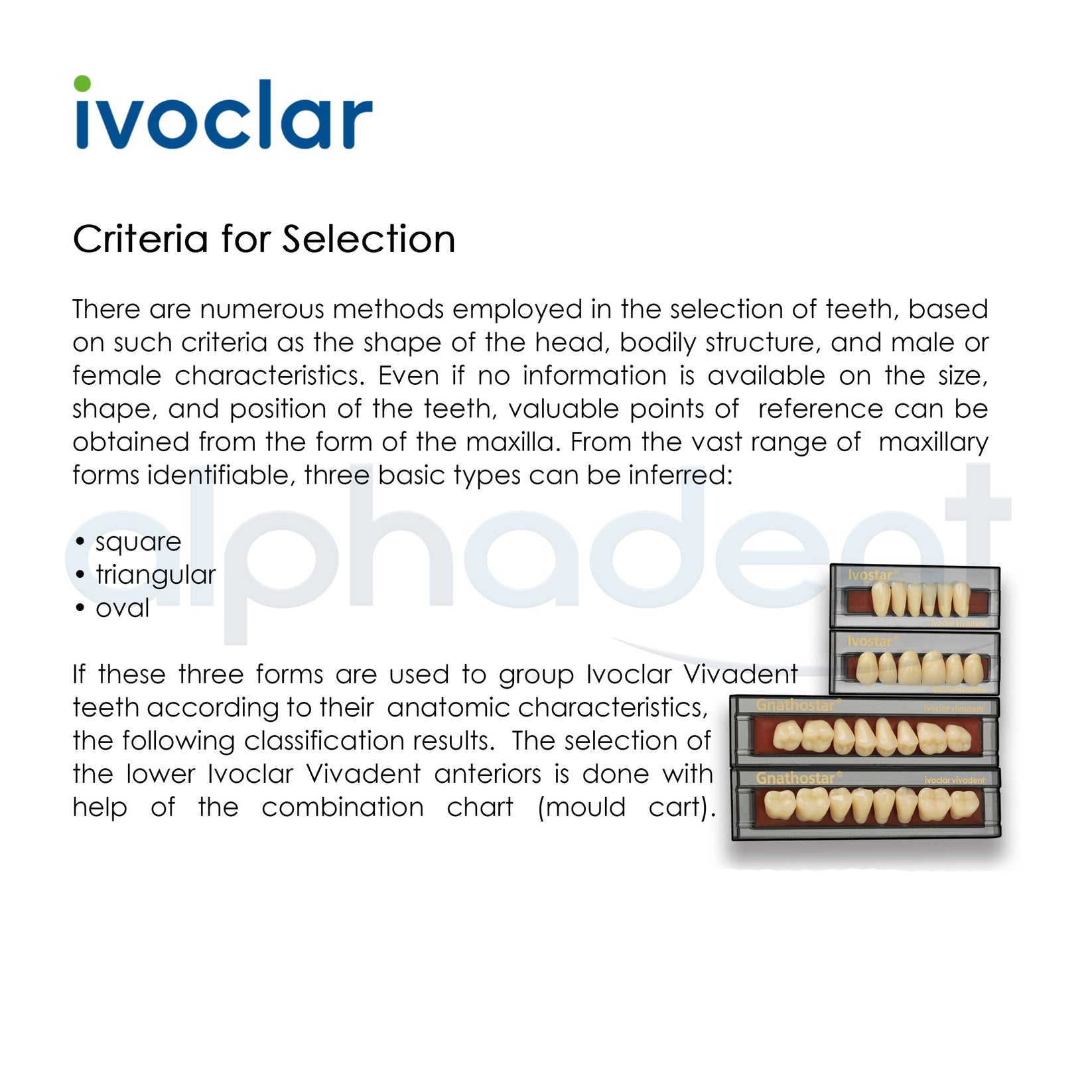 Ivostar® 1 X 6 Anterior Resin Teeth (110-140) – Alphadent Corporation