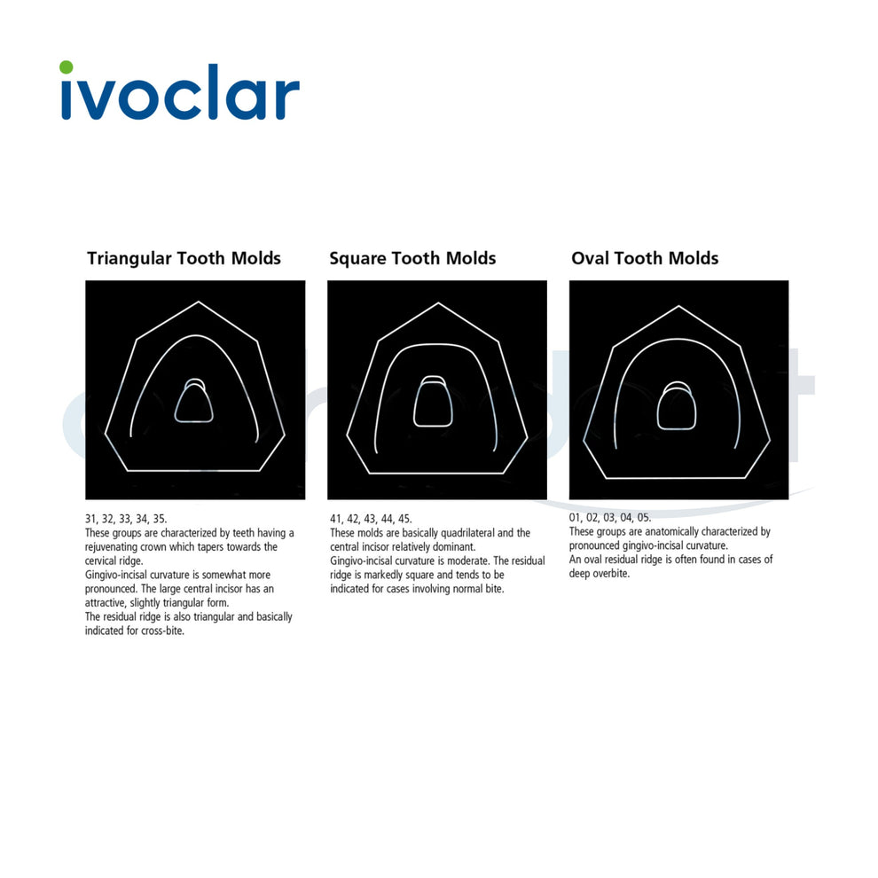Ivostar® 1 X 6 Anterior Resin Teeth (110-140) – Alphadent Corporation