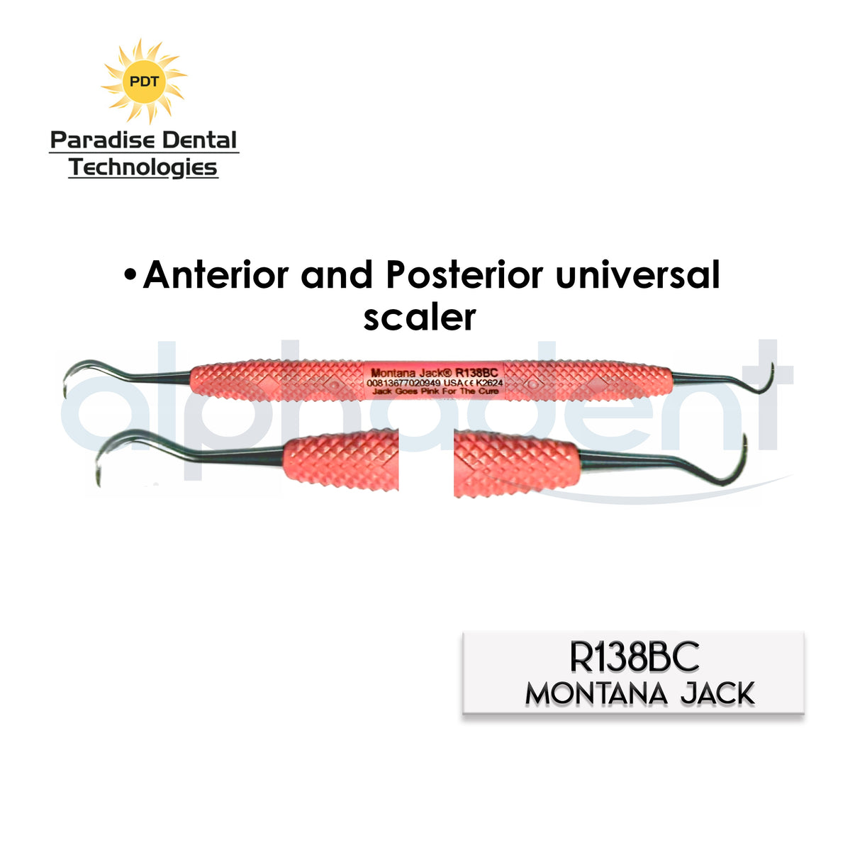 Montana Jack® R138BC Scaler – Alphadent Corporation